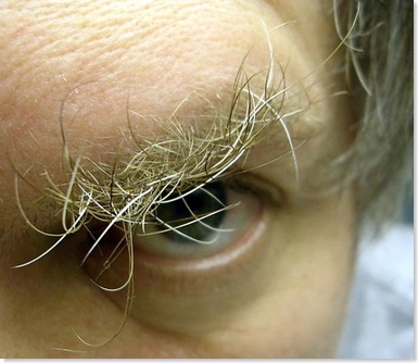 Gray Eyebrows: the Solution comes in a Killer Strands Kit ...